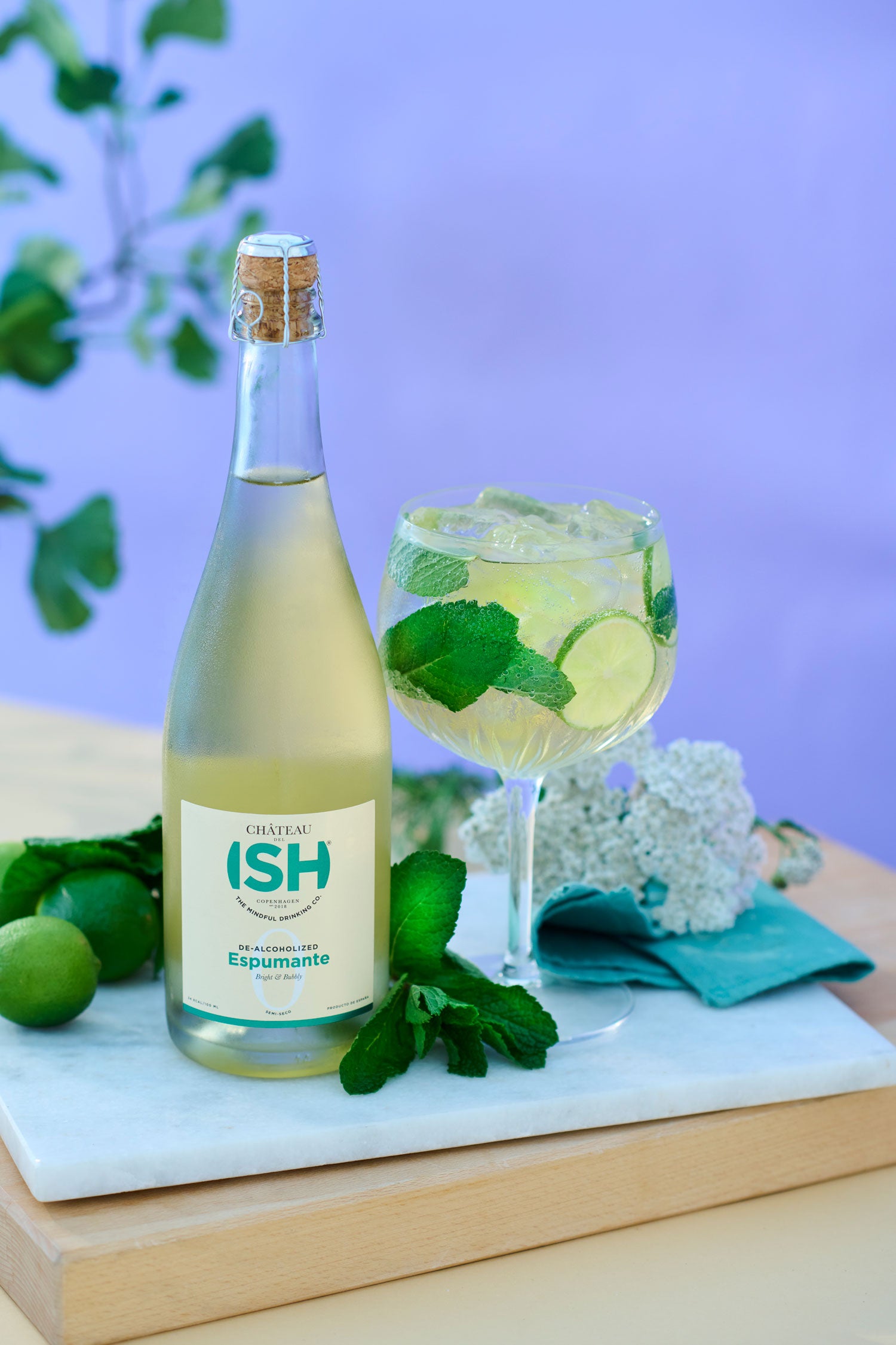 Non-Alcoholic Beverage Shop | The Zero Proof